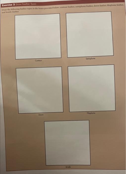 Exercise 2 Draw Featica lypes and Exercise 2 Drem | Chegg.com