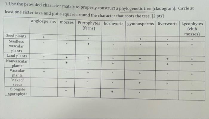 Draw a cladogram based in information given. Clircle | Chegg.com