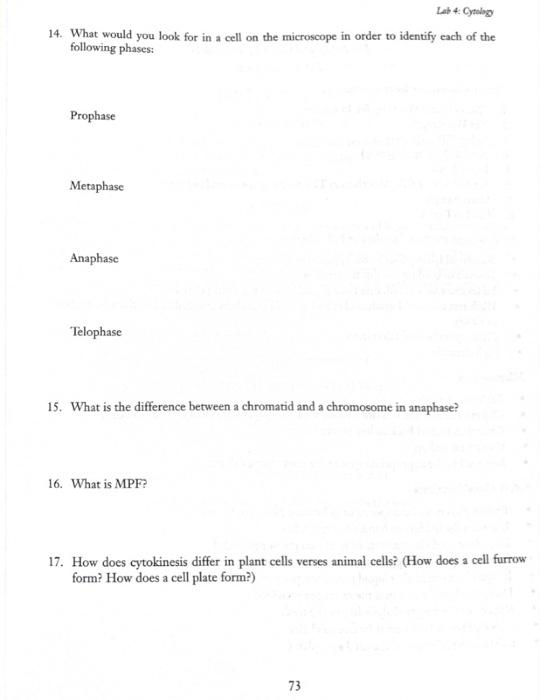 Solved Lab Cytology Bio 4: Mitosis CD worksheet Name 1. How | Chegg.com