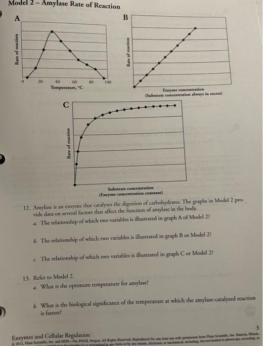 Solved Model 2-Amylase Rate of Reaction (Substrate | Chegg.com
