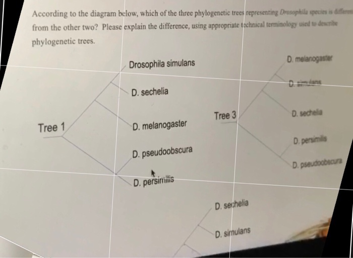 Solved According to the diagram below, which of the three | Chegg.com