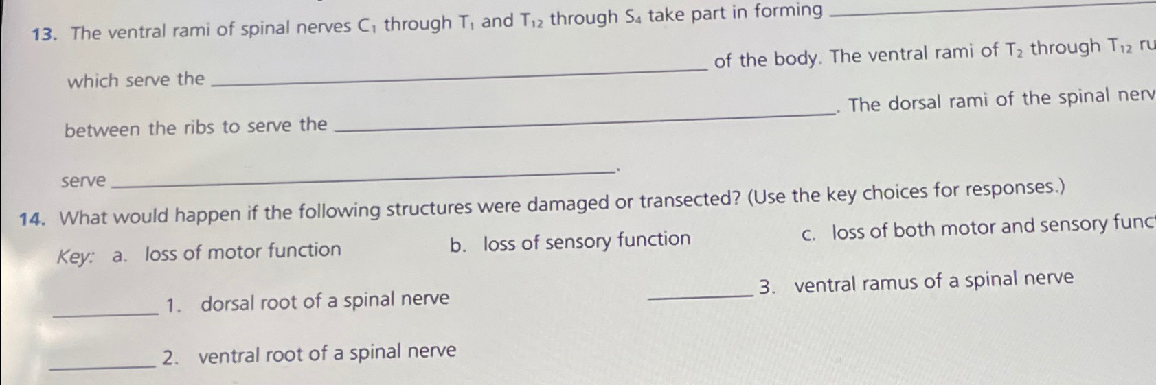 The ventral rami of spinal nerves C1 ﻿through T1 ﻿and | Chegg.com