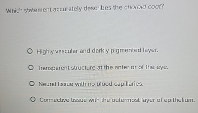 Solved Which statement accurately describes the choroid | Chegg.com