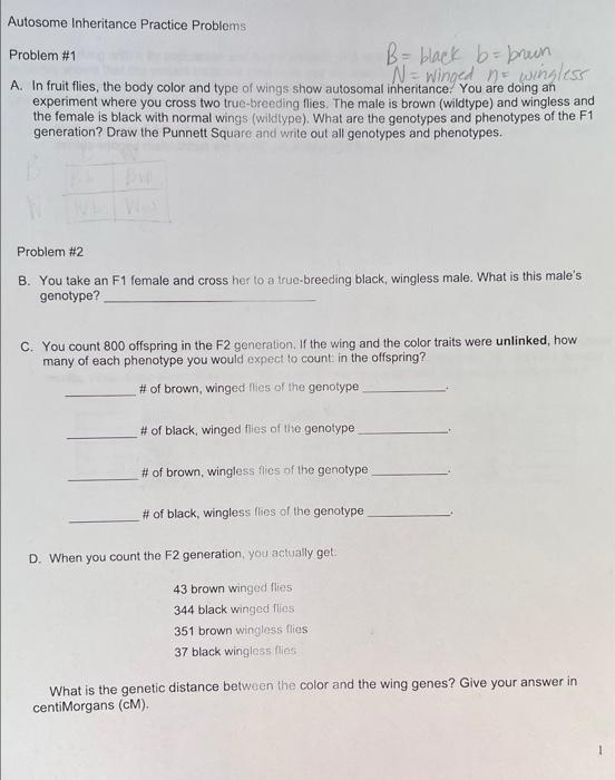 Solved Autosome Inheritance Practice Problems. Problem #1 B | Chegg.com