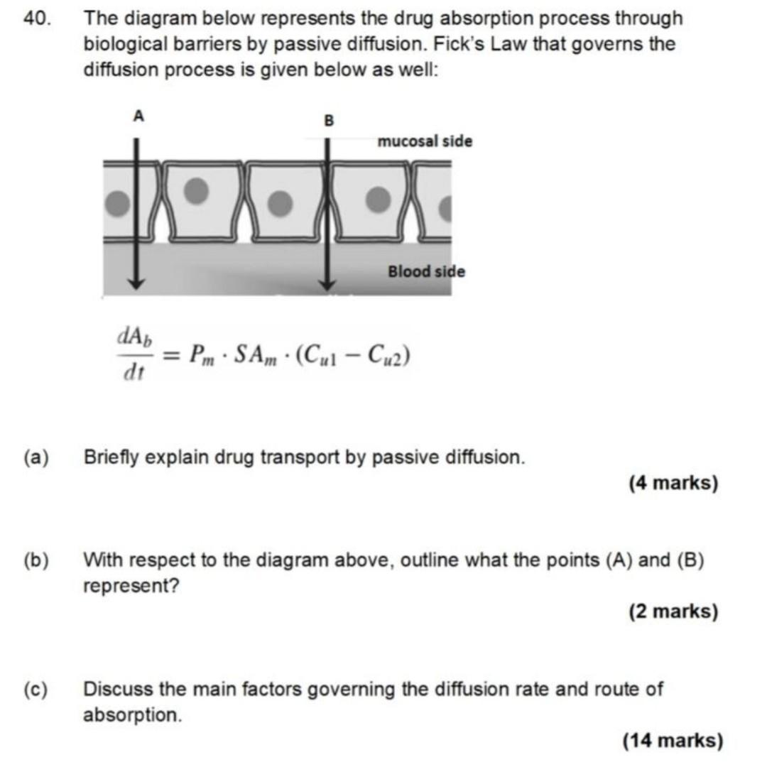 Solved 40. The diagram below represents the drug absorption | Chegg.com