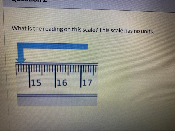 Solved What is the reading on this scale? This scale has no | Chegg.com