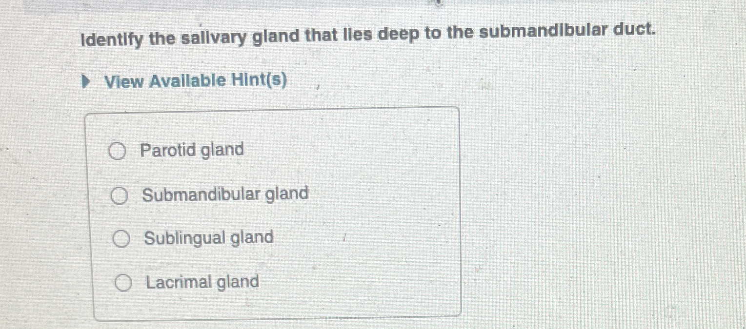 Solved Identify the salivary gland that lies deep to the | Chegg.com