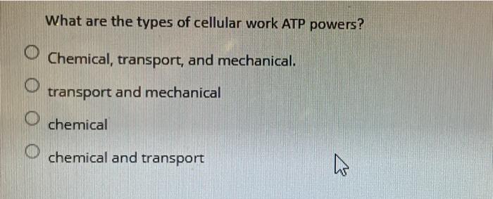 Solved What are the types of cellular work ATP powers? | Chegg.com