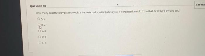 Solved Question 48 2 points How many substrate level ATPs | Chegg.com