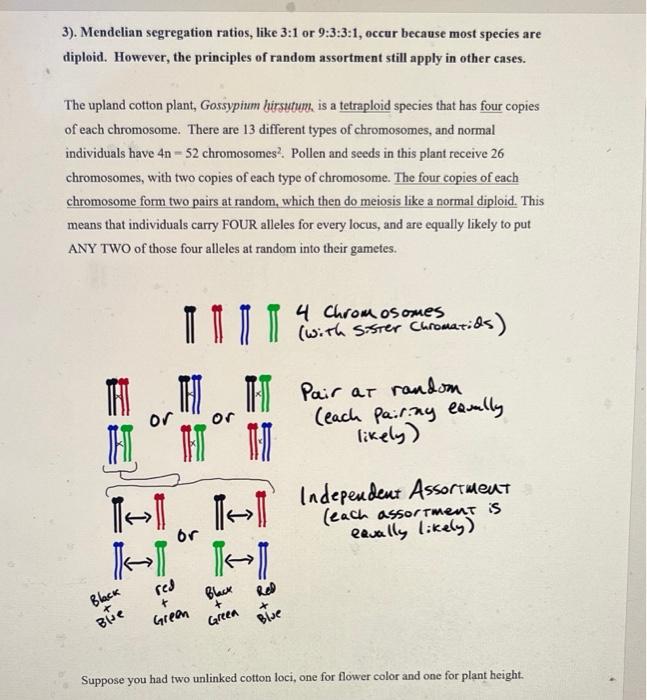 Solved 3). Mendelian segregation ratios, like 3:1 or | Chegg.com