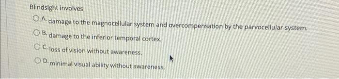 Solved Blindsight involves A damage to the magnocellular | Chegg.com