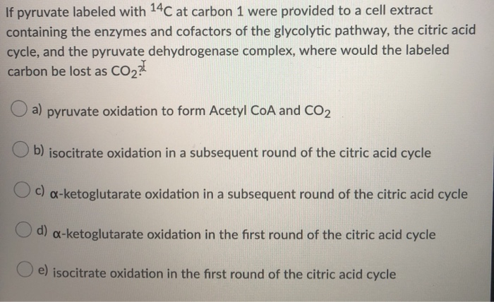 Solved If pyruvate labeled with 14C at carbon 1 were | Chegg.com
