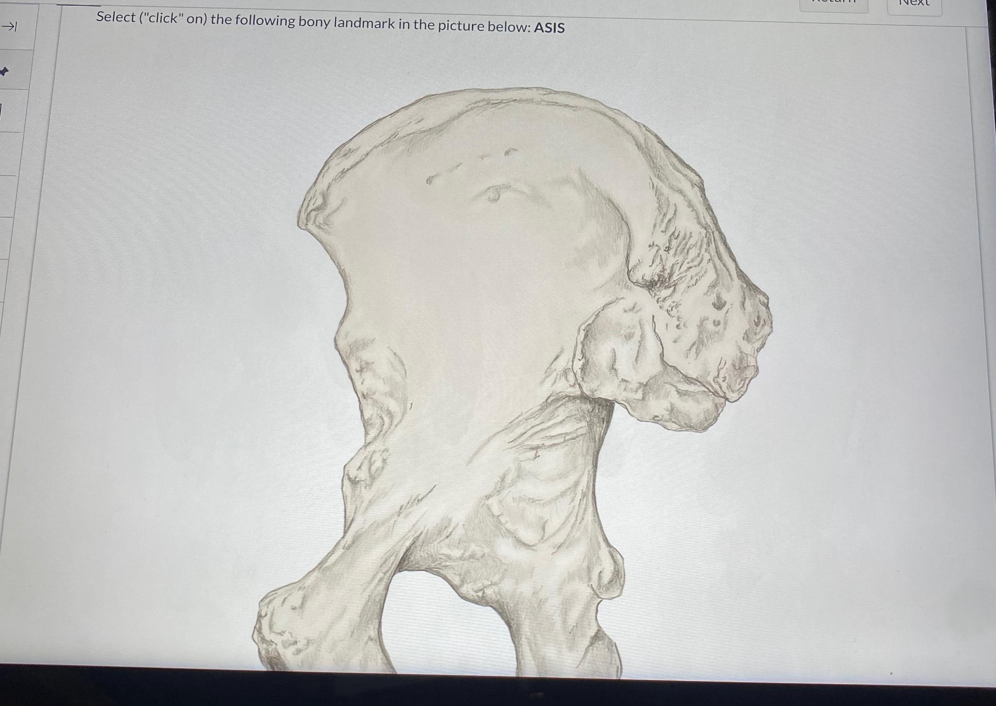 Solved Select ("click" ﻿on) ﻿the following bony landmark in | Chegg.com