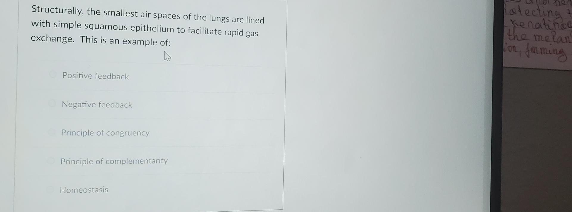 Solved Structurally, the smallest air spaces of the lungs | Chegg.com