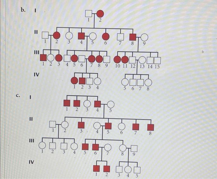 Solved For each of the following pedigrees, give the most | Chegg.com