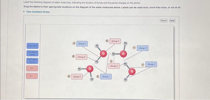 Solved Label the following diagram of water molecules, | Chegg.com