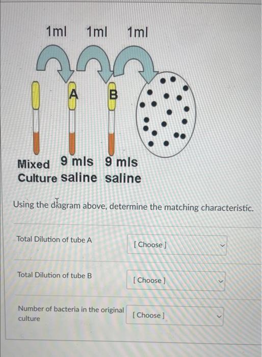 Solved 1ml 1ml 1ml B Mixed 9 mls 9 mls Culture saline saline | Chegg.com