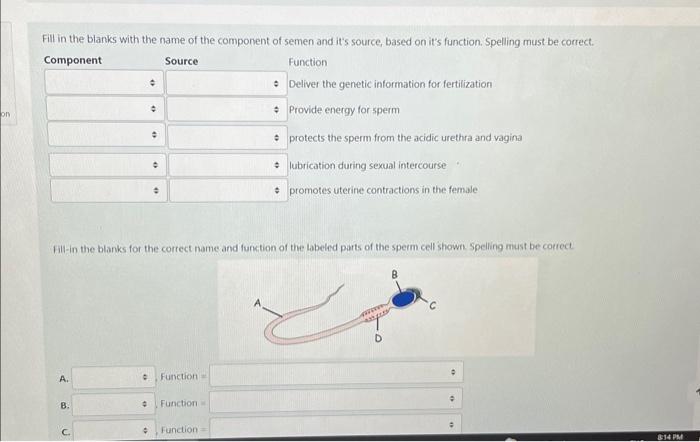 Solved Fill in the blanks with the name of the component of | Chegg.com