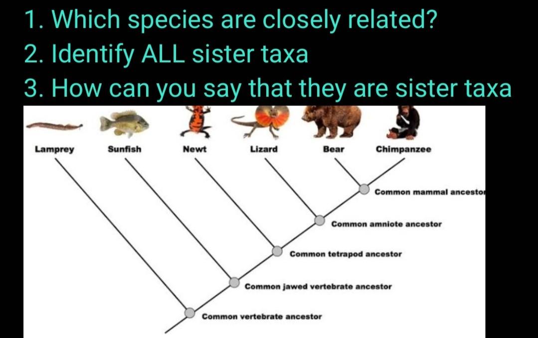 Solved 1. Which species are closely related? 2. Identify ALL | Chegg.com