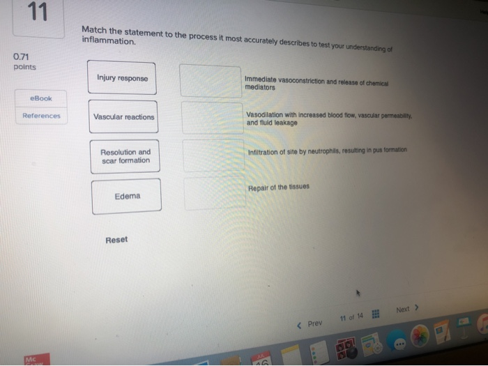 Solved Match the statement to the process it most accurately | Chegg.com