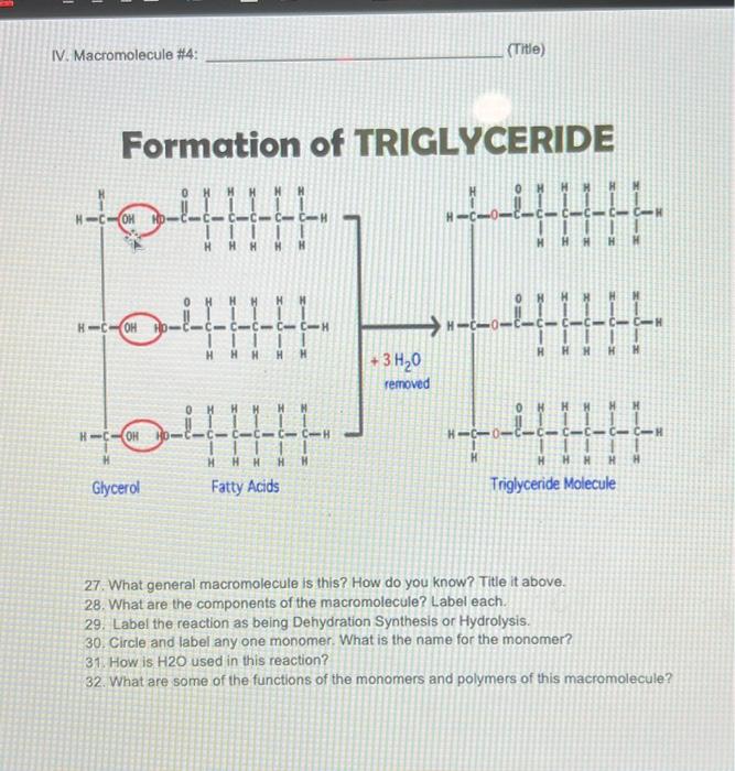 Solved Formation of TRIGLYCERIDE 27. What general | Chegg.com