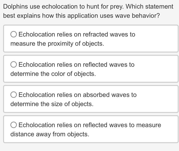 Solved Dolphins use echolocation to hunt for prey. Which | Chegg.com