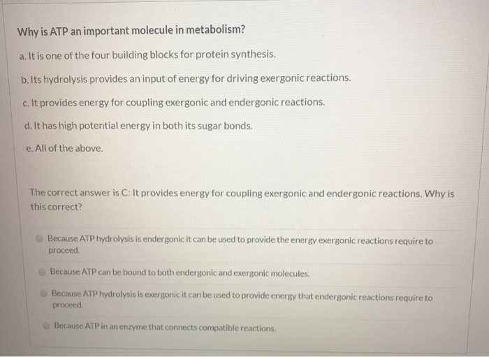 Solved Why is ATP an important molecule in metabolism? a. It | Chegg.com