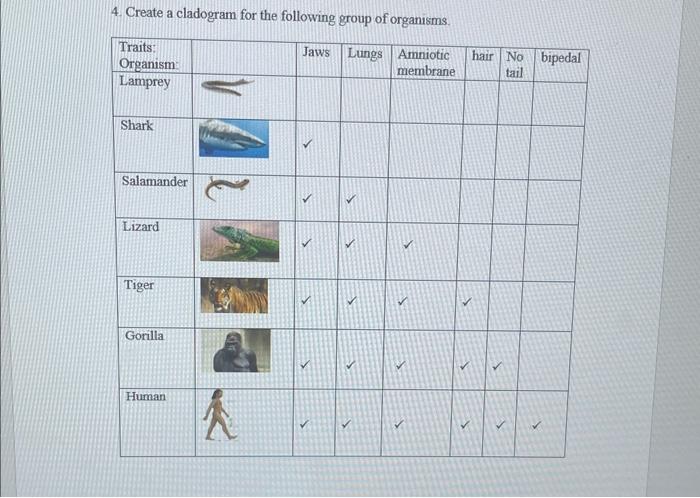 Solved 4. Create a cladogram for the following group of | Chegg.com