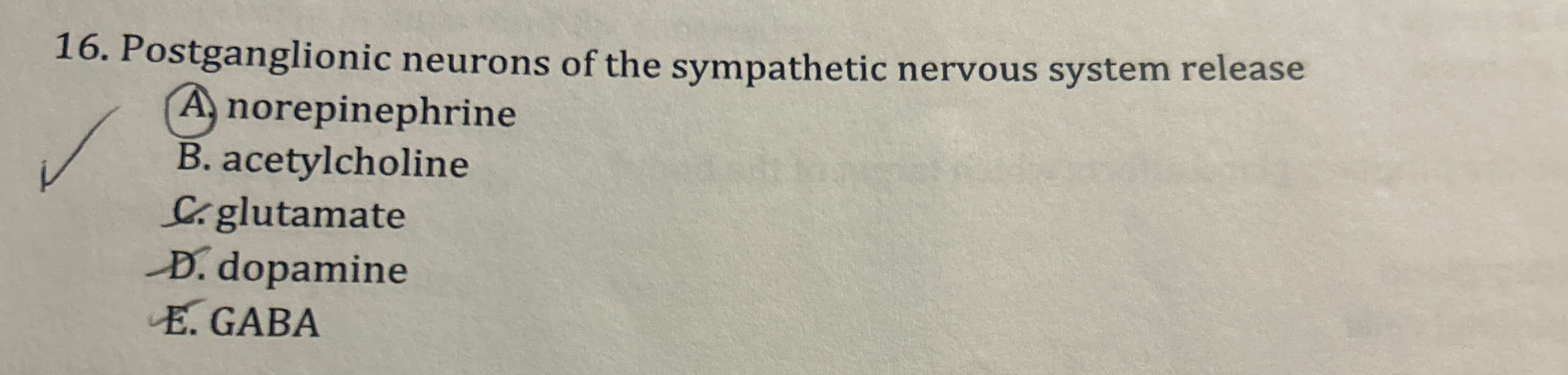 Solved Postganglionic neurons of the sympathetic nervous | Chegg.com