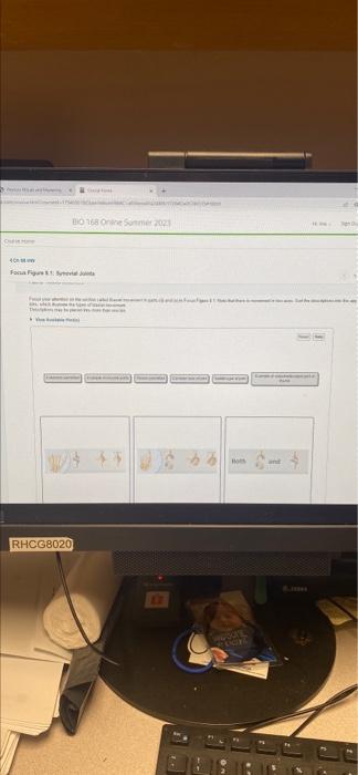+ Pearson MyLab and Mastering X | Chegg.com
