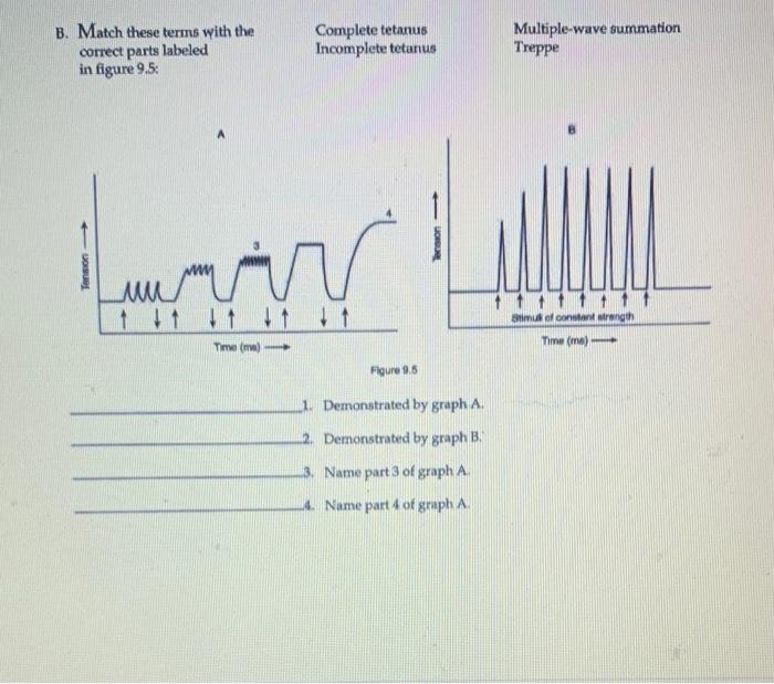 Solved B. Match these terms with the correct parts labeled | Chegg.com