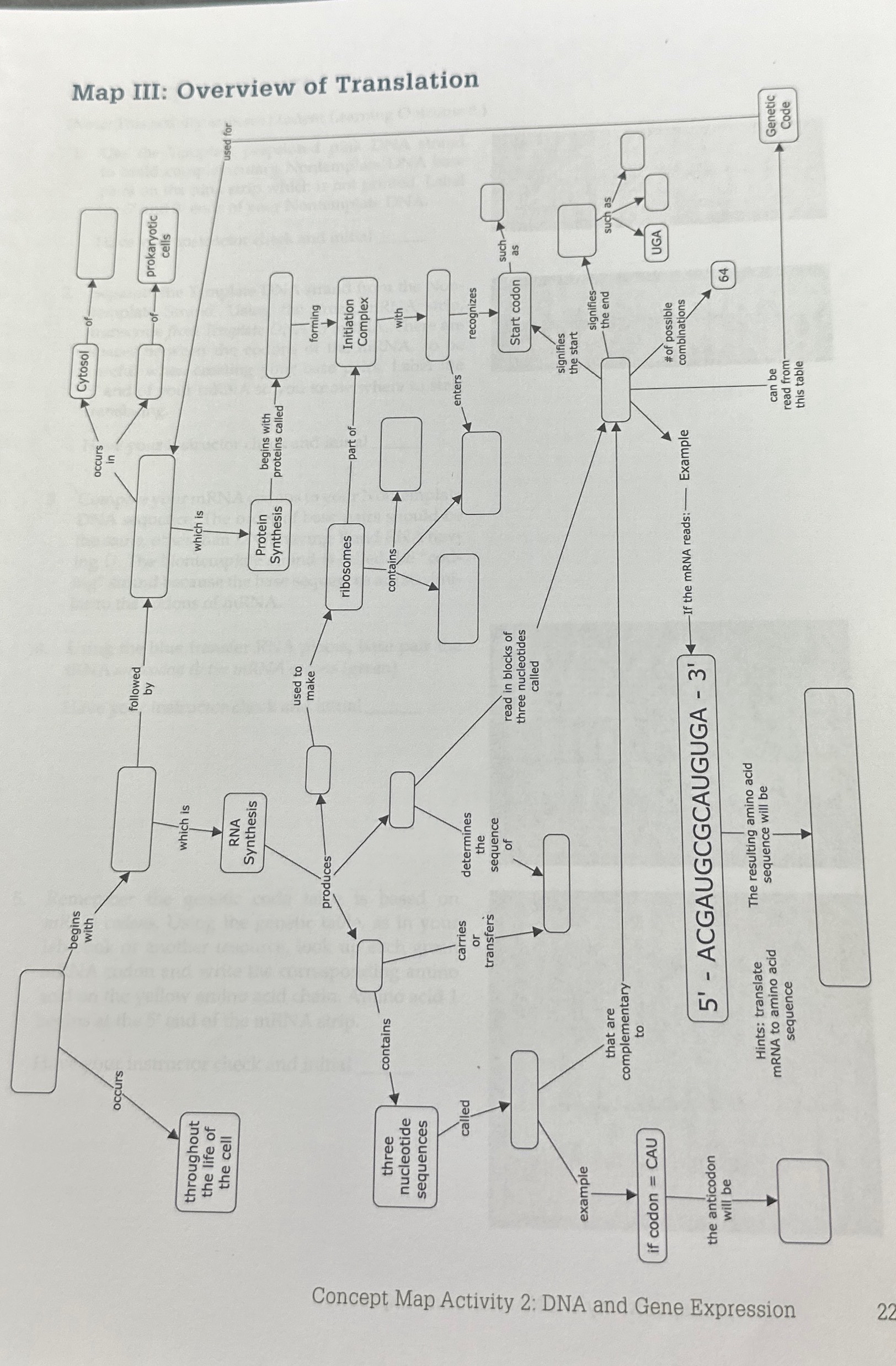 Map III: Overview of TranslationConcept Map Activity | Chegg.com