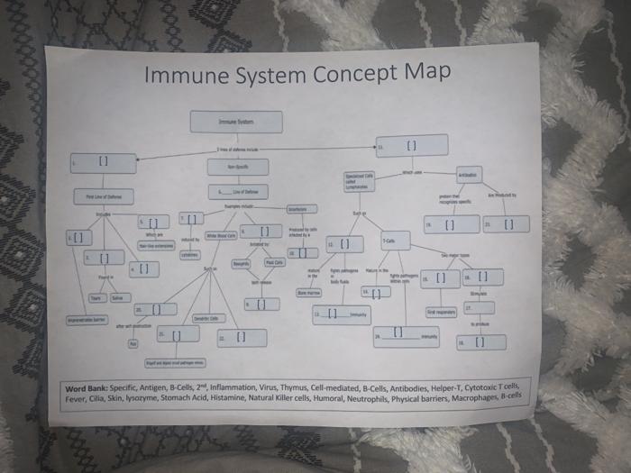 Immune System Concept Map . 11 01 01 [1 01 Il 11 Word | Chegg.com