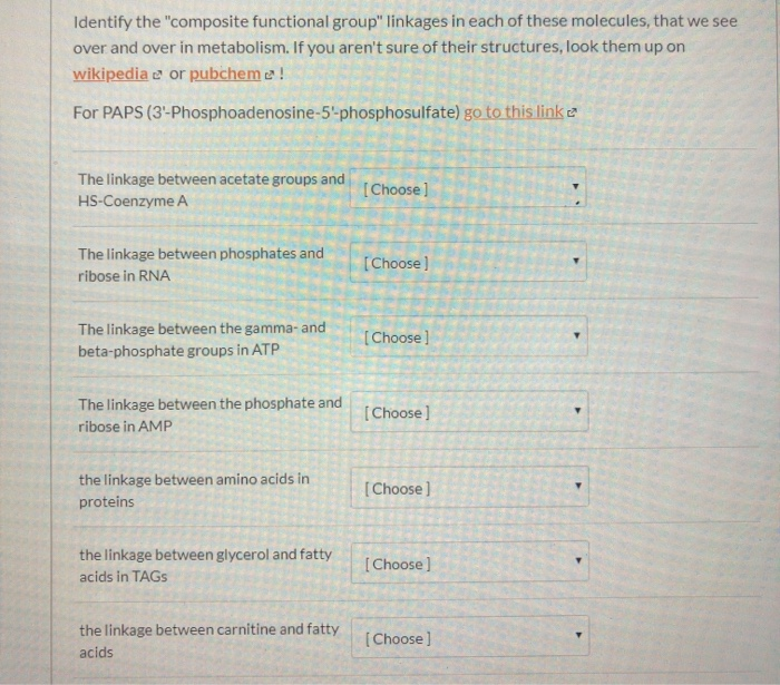 Solved Identify The Composite Functional Group Linkages In 6088