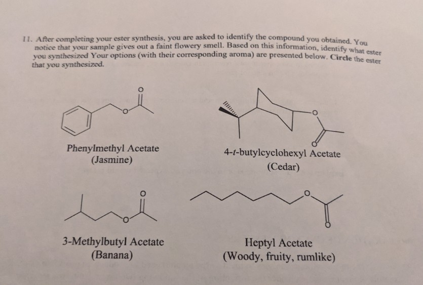 Solved 11. After completing your ester synthesis, you are | Chegg.com