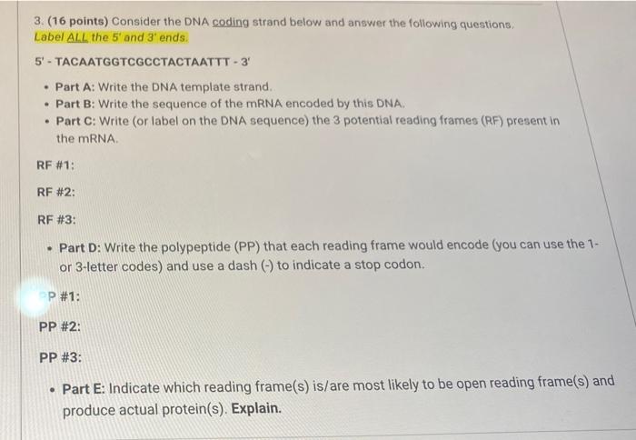 Solved 3. (16 points) Consider the DNA coding strand below | Chegg.com