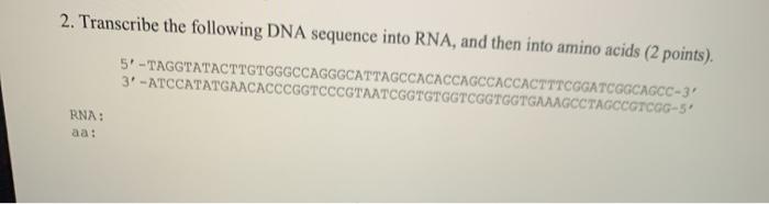 Solved 2. Transcribe the following DNA sequence into RNA, | Chegg.com