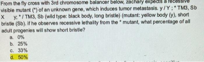 From the fly cross with 3rd chromosome balancer | Chegg.com