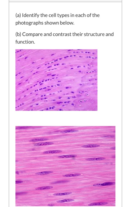 Solved (a) Identify the cell types in each of the | Chegg.com