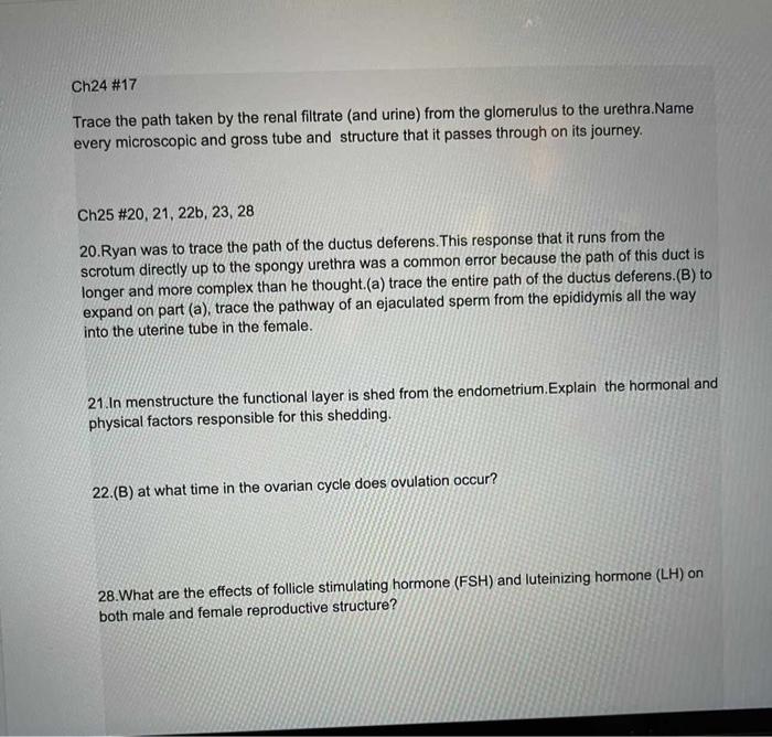 Solved Ch24 #17 Trace the path taken by the renal filtrate | Chegg.com