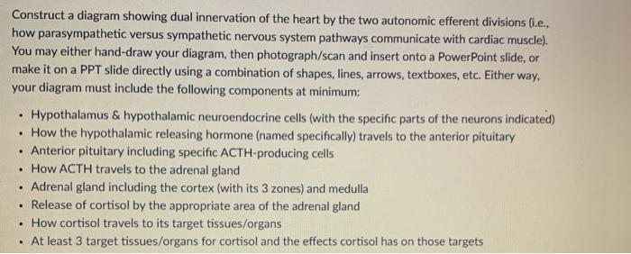 Solved Construct a diagram showing dual innervation of the | Chegg.com