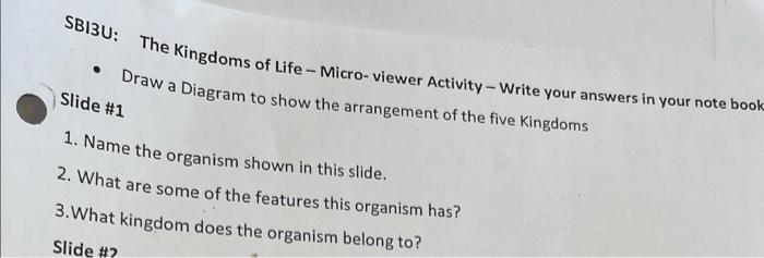 SBI3U: The Kingdoms of Life-Micro- viewer Activity - | Chegg.com