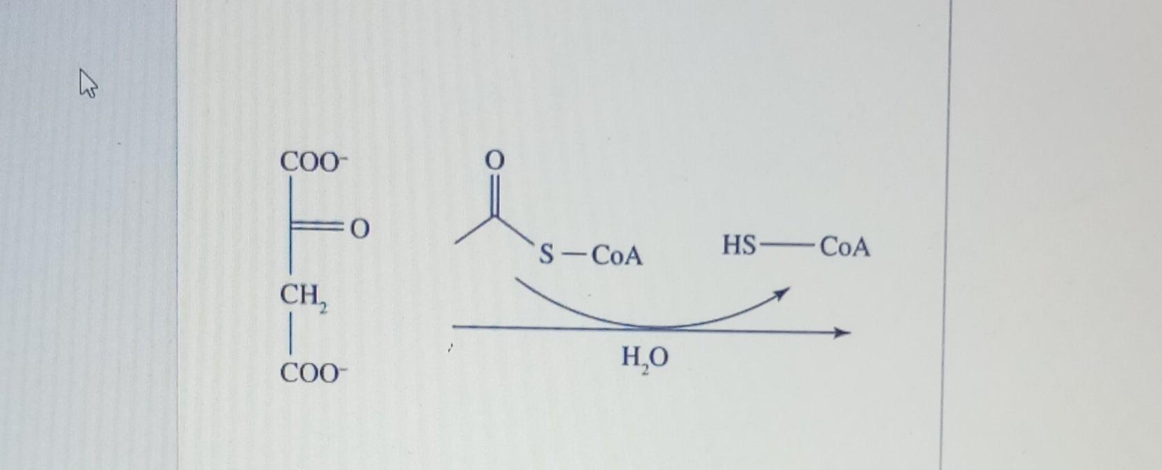 Solved 4 COO- F 0 CH₂ COO 'S-CoA H₂O HS-COA | Chegg.com