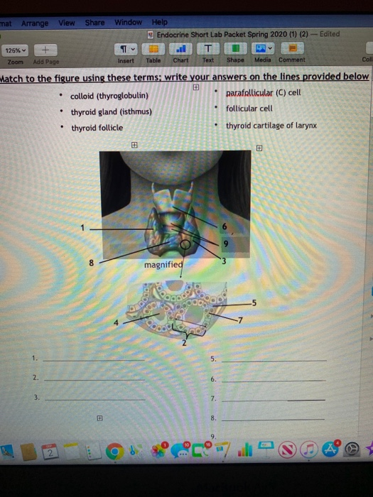 Solved 125% Zoom Add Page Insert Table Chart Text Shape | Chegg.com