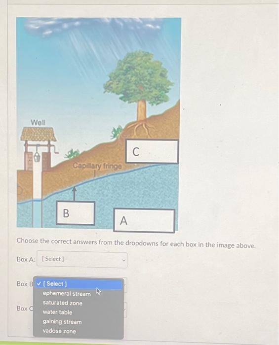 Solved Choose the correct answers from the dropdowns for | Chegg.com
