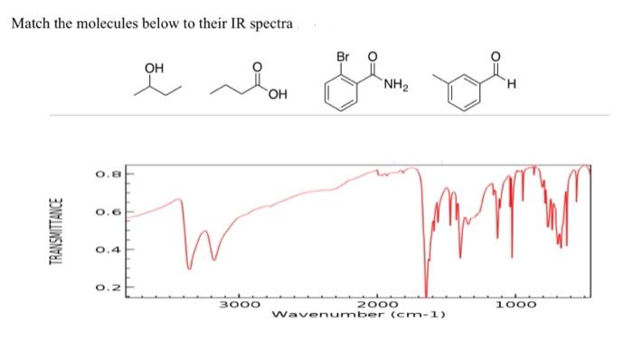 Solved Match the molecules below to their IR spectra OH i i | Chegg.com