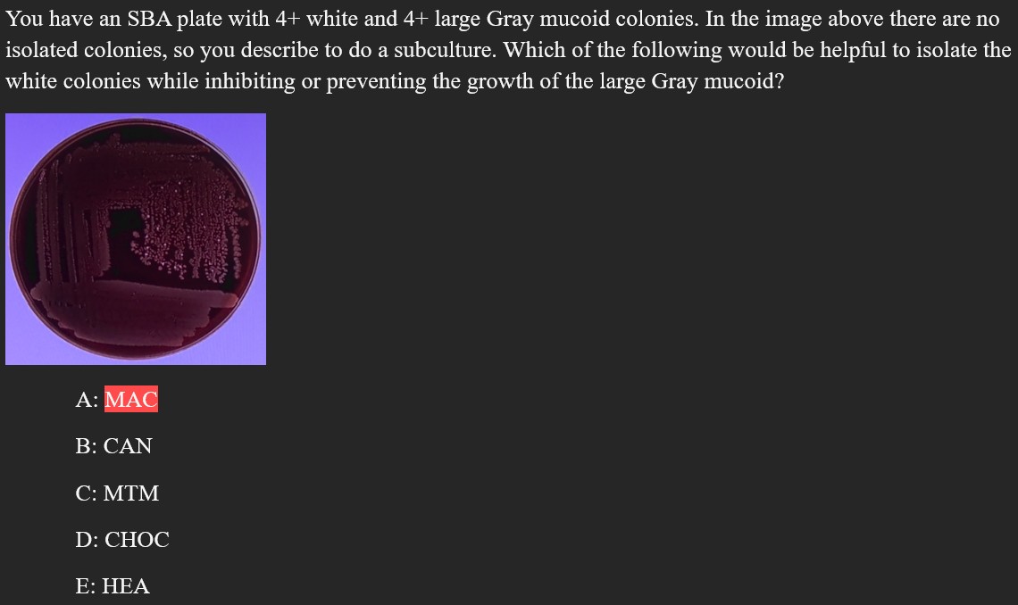 Solved You have an SBA plate with 4+ ﻿white and 4+ ﻿large | Chegg.com