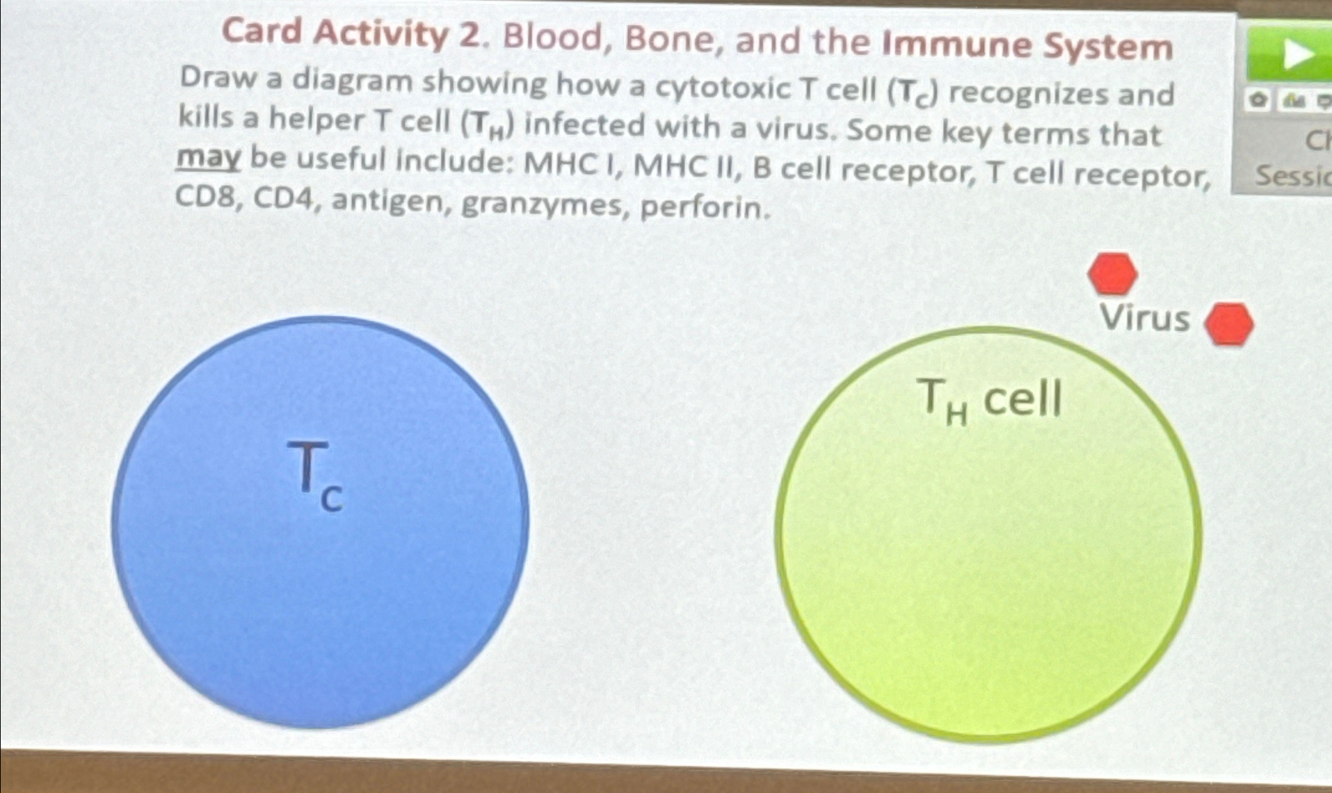 Solved Card Activity 2. ﻿Blood, Bone, and the Immune System | Chegg.com