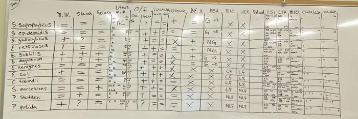 I need help setting up a simple tree branch diagram, | Chegg.com