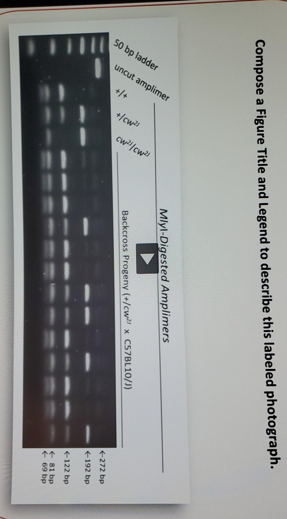 Solved Compose a Figure Title and Legend to describe this | Chegg.com